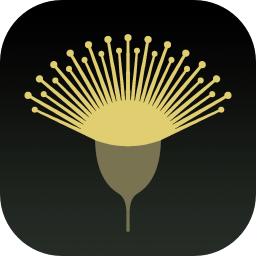 Trees Near Me NSW Vegetation